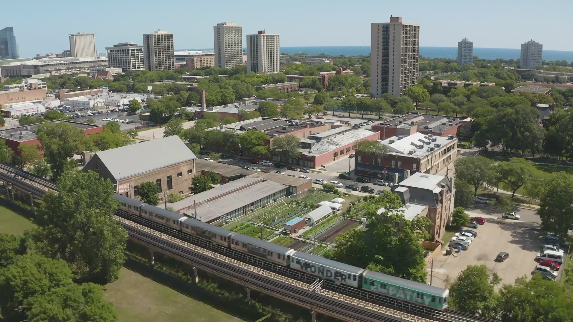 Just Roots Chicago | Cultivating Community